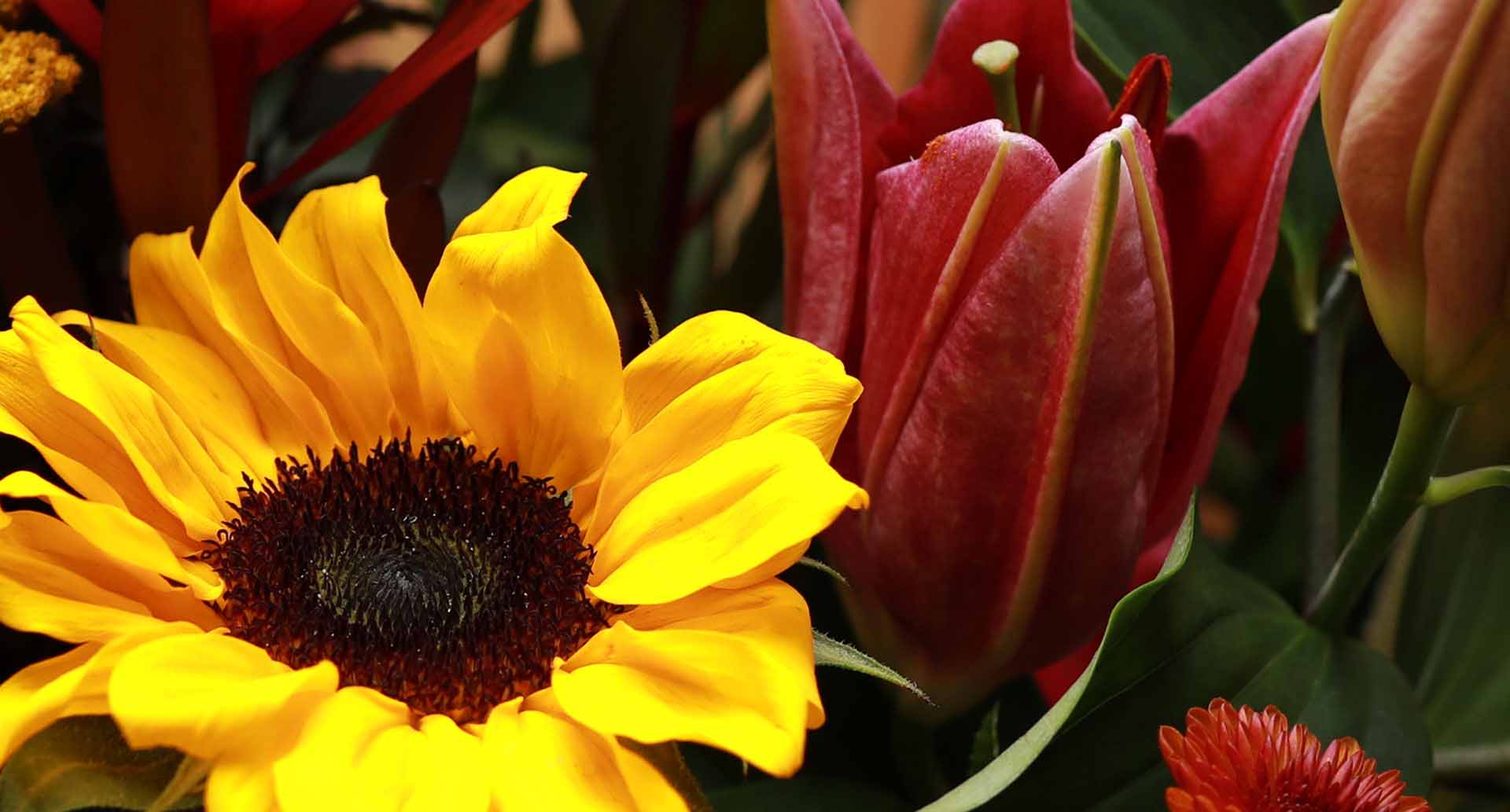 Tara Florist in St. Joseph & Benton Harbor 269-983-6533