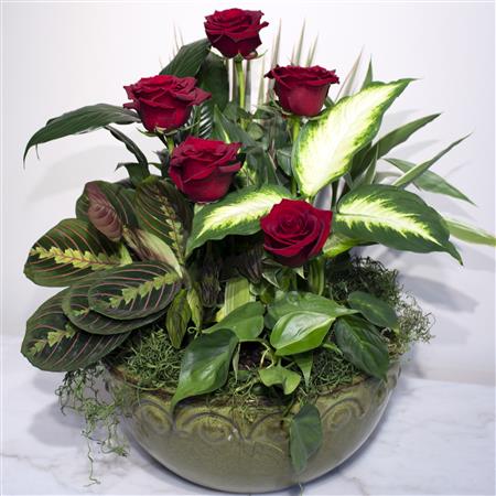 Vineland Road - Supreme Planter in Ceramic with Roses Tara Florist S